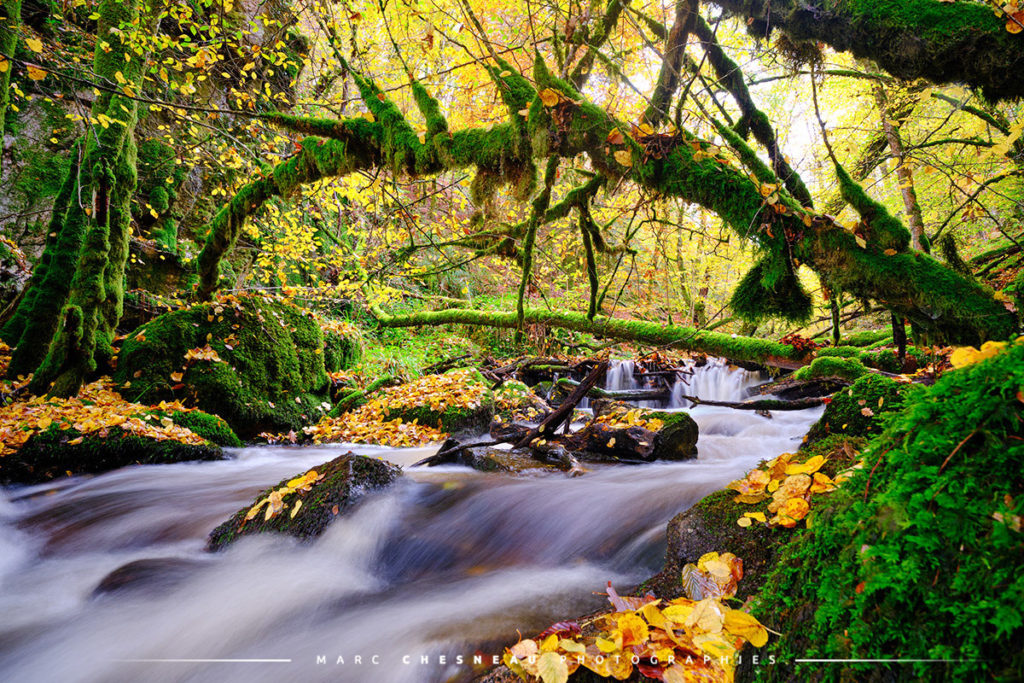 LE MORVAN | Marc Chesneau Photographies