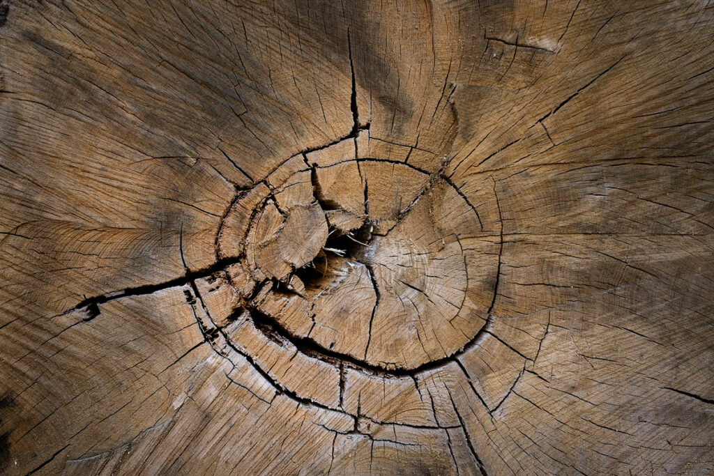 LA FASCINATION DES MATIERES | Marc Chesneau photographie