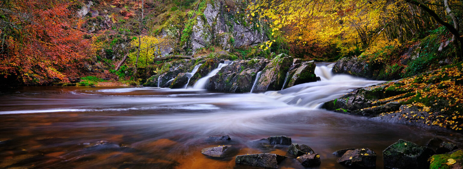 Stage photo - Photographier la forêt en automne dans le Morvan | Marc ...